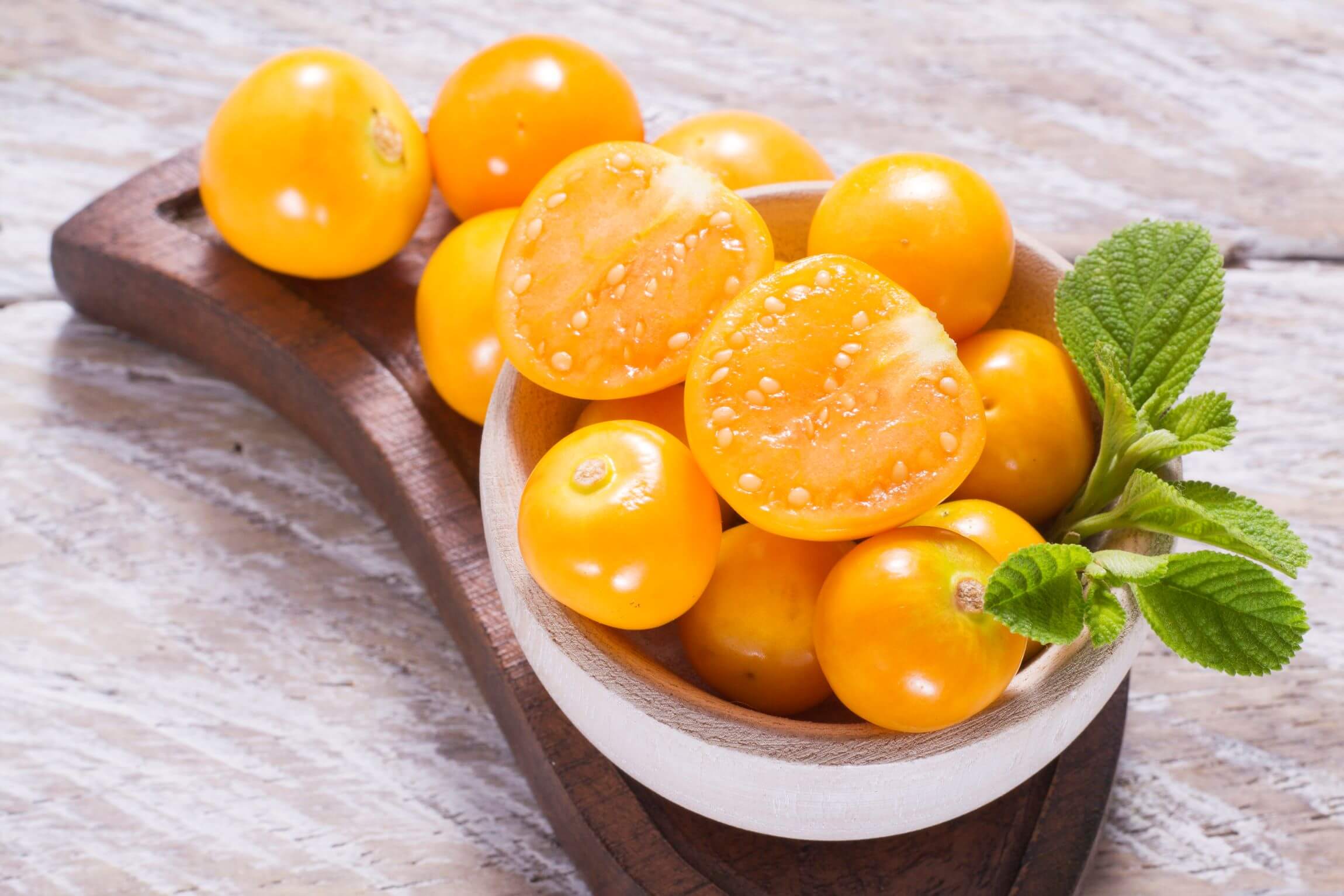 Cultivo de uchuva podría mejorarse con edición genética